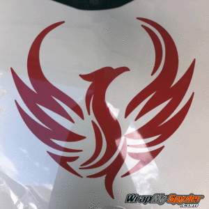 Phoenix – Spyder Boyz